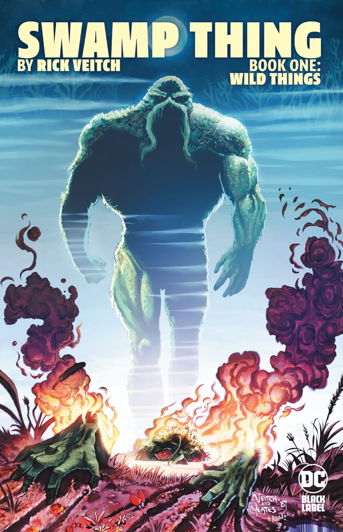 The Best Swamp Thing Comics for Earth Day – Toledo Lucas County Public ...