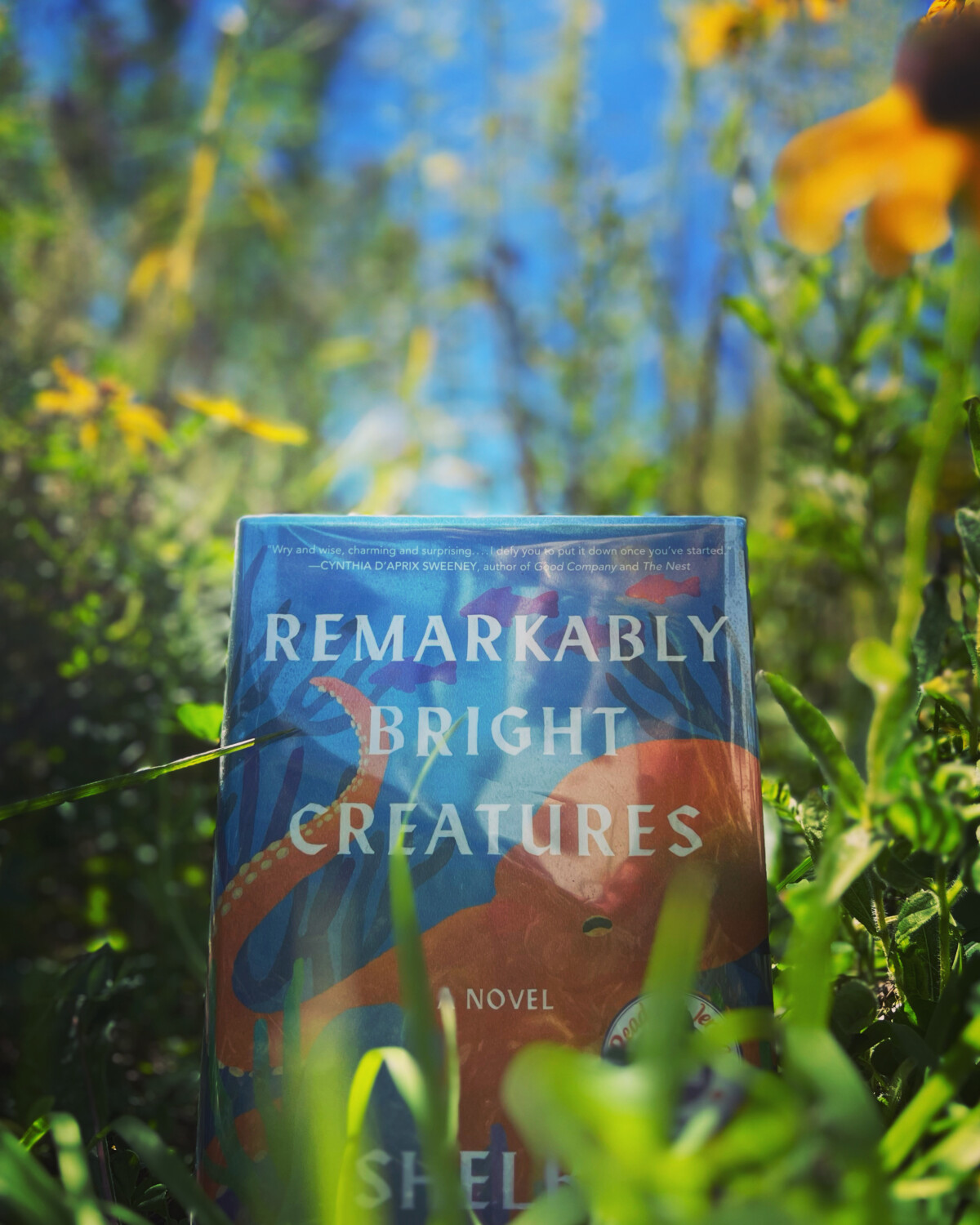 BRANCH BOOK CLUBS – Toledo Lucas County Public Library – TLCPL