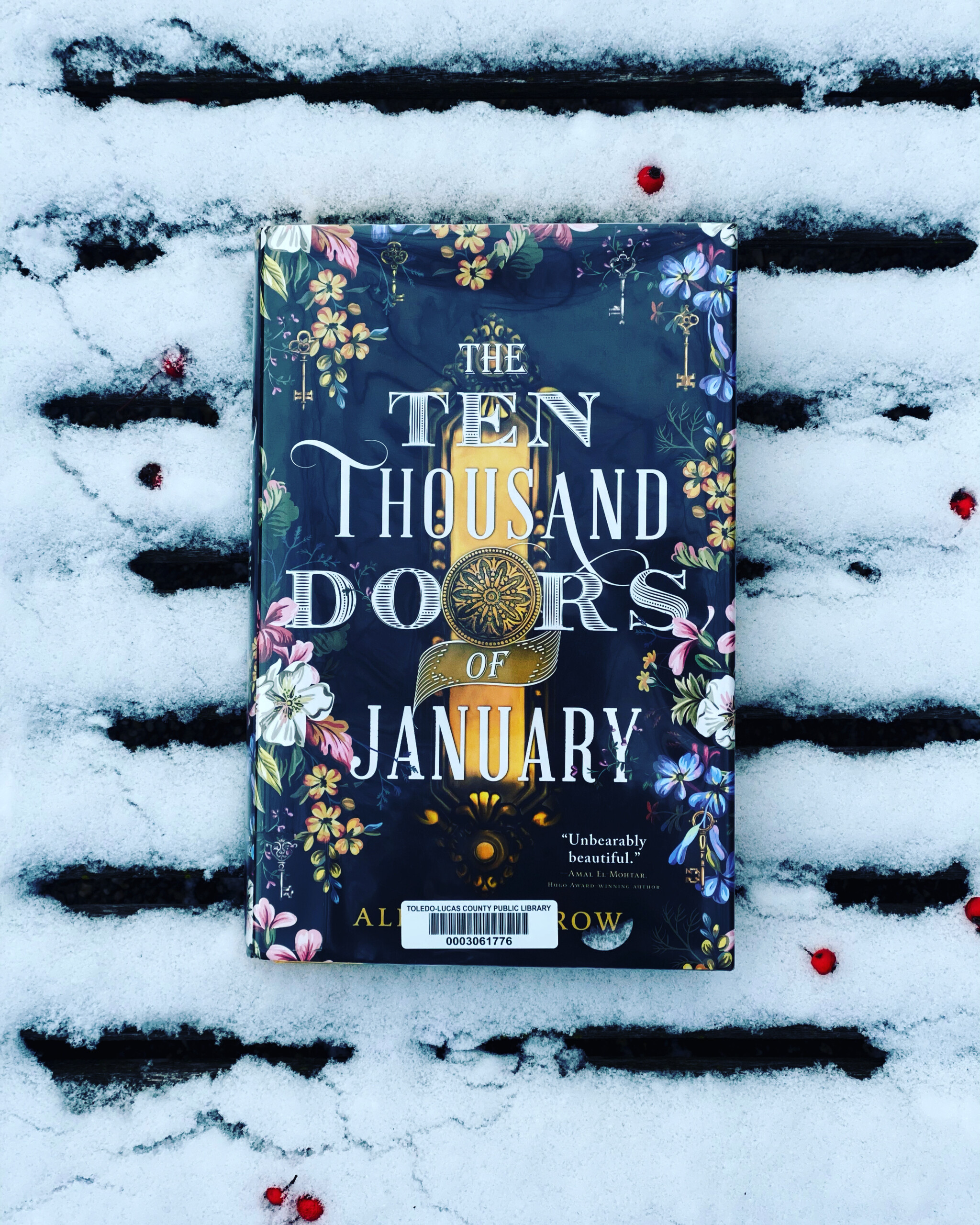 Book Clubs – Toledo Lucas County Public Library – TLCPL