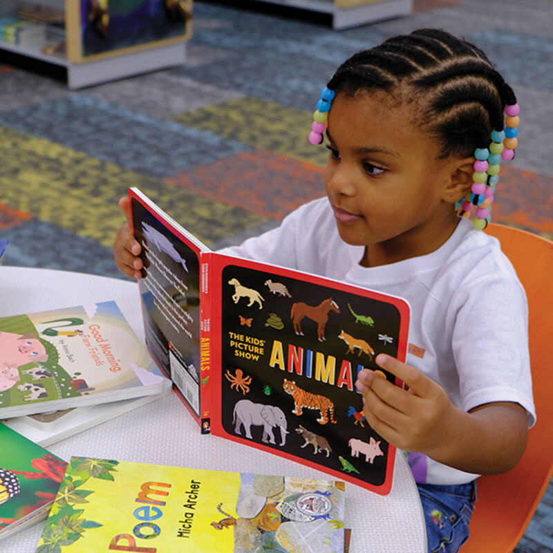 Online Newsroom – Toledo Lucas County Public Library – TLCPL